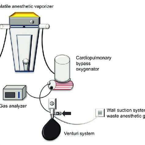 Panel A Depicts The Cardiopulmonary Bypass Circuit With The Vaporizer