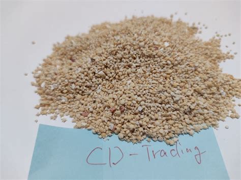 Star Sand 100grams Okinawa Ishigaki Island Starry Sand Japan Rare Ebay