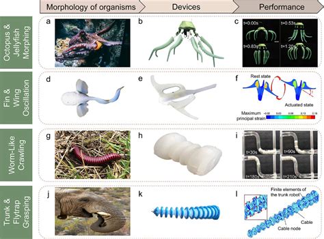 Bioinspired Intelligent Soft Robotics From Multidisciplinary Integration To Next‐generation