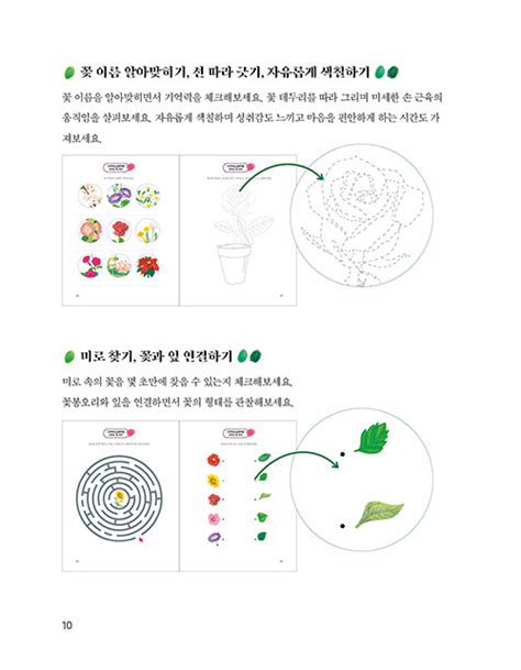 색연필로 그리는 꽃그림 부모님을 위한 취미 교실 시니어 컬러링북 윤경미 알라딘
