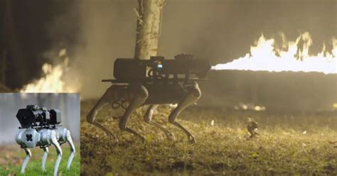 미국서 화염방사기 짊어진 로봇 개 곧 판매…무기화 우려