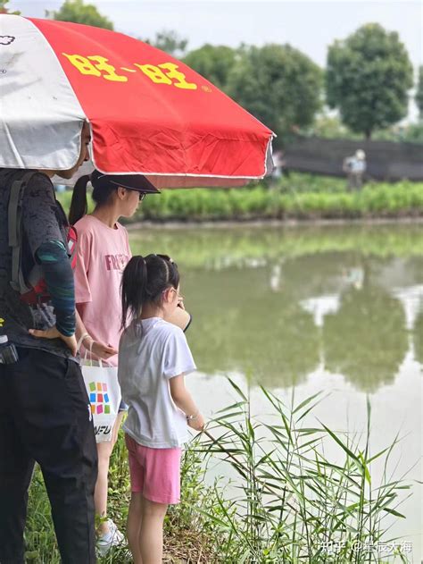 农家乐 知乎