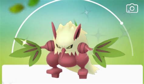 Pokémon Go Seedot Community Day How To Get A Shiny Shiftry