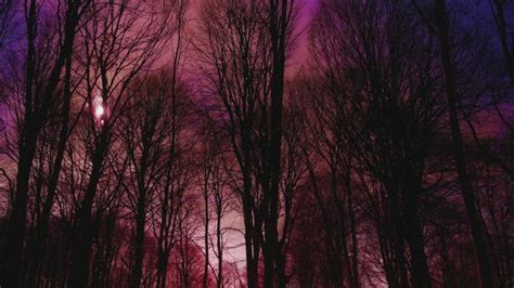 Free Freaky Videos 4k And Hd No Watermark Download Now