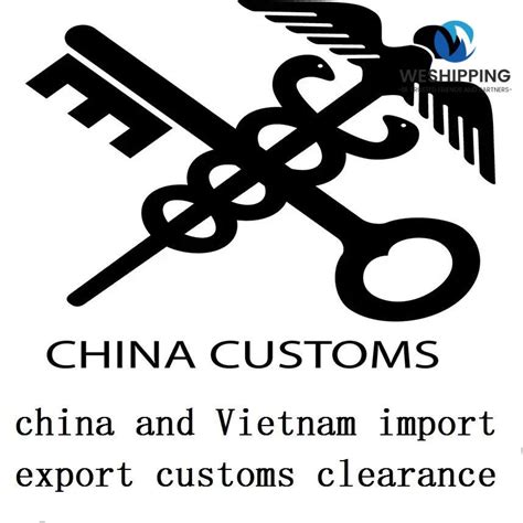 Professtional Import Export Customs Clearance Customs Declaration And Customs Clearance