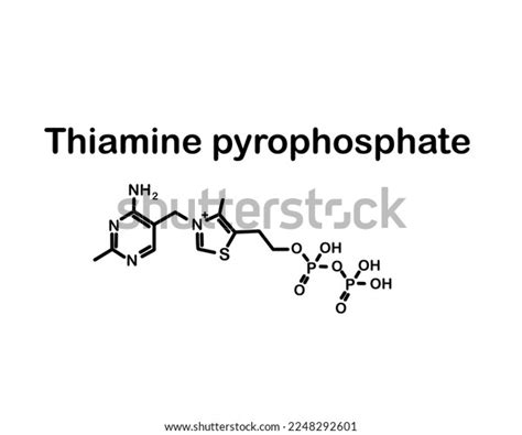 Chemical Formula Thiamine Pyrophosphate Vector Illustration Stock