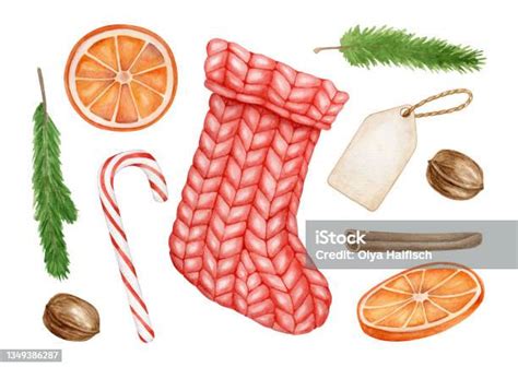 수채화 겨울 크리스마스 홈 장식 요소 일러스트 손으로 그린 빨간 니트 양말 말린 오렌지 사탕 지팡이 호두 전나무 가지 계피 스틱 흰색 배경에 격리 된 선물 태그 라벨에 대한