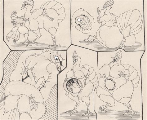 Rule 34 01phoenix01 Accipitriform Anthro Ass Avian Bird Breast
