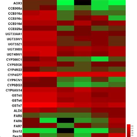 Heat Map Illustration Of The Tissue Expression Profile Of Sex Pheromone