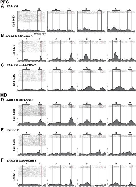 Single Neuron Activity During Dpx Task Performance Each Row Of Panels Download Scientific