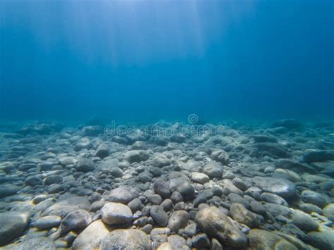 Rocky Bottom In The Mediterranean Sea Off The Coast Of Nice Underwater