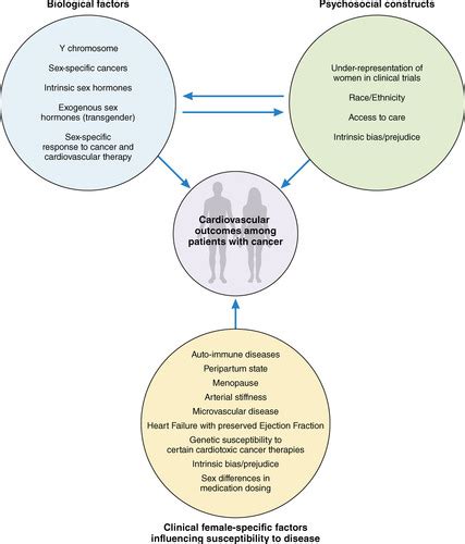 Sex Differences In Cardio Oncology Considerations For The Practicing