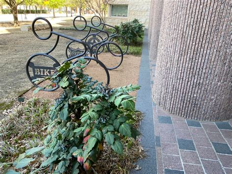 Frisco Map Guesser Game Monday Apr 24th 2023