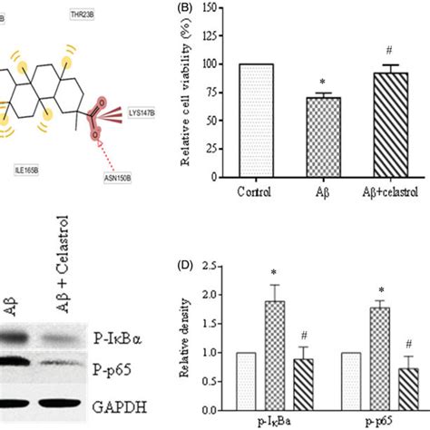 Chemical Structure Of Celastrol And Its Analogues Download