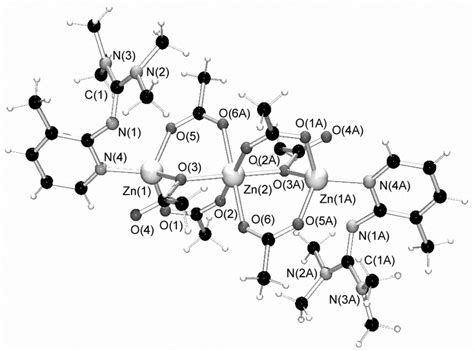 Molecular structure of [Zn 3 (TMGpico) 2 (CH 3 COO) 6 ] (13) as ...