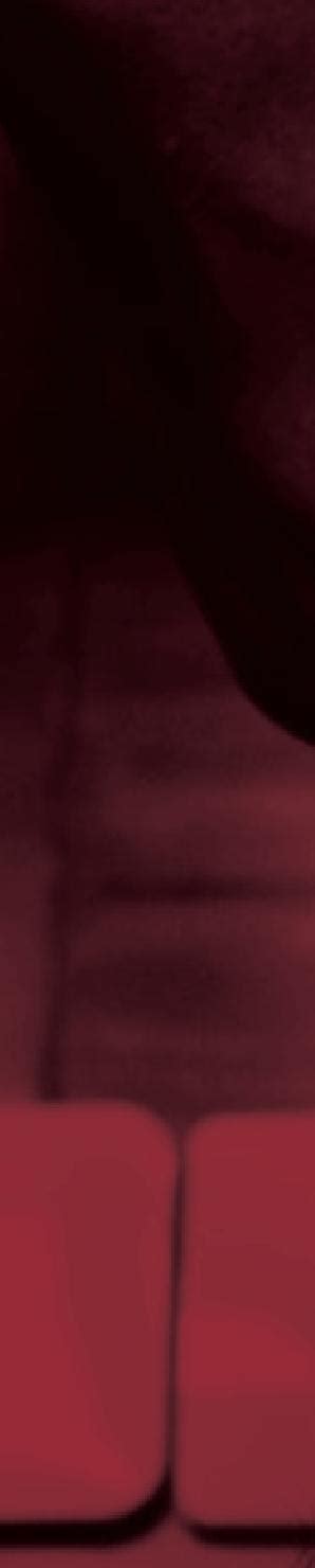 Seifsa Membership Join Booklet By Wow Concepts Issuu