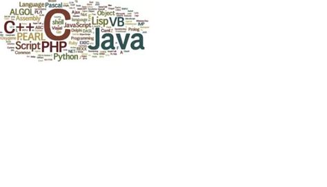 Top Programming Languages That Will Future Proof Your Portfolio