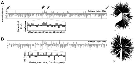 Viruses Special Issue Viral Glycoprotein Structure