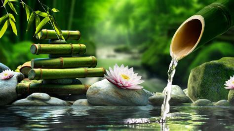 Healing Sleep Music Eliminate Stress Release Of Melatonin And Toxin