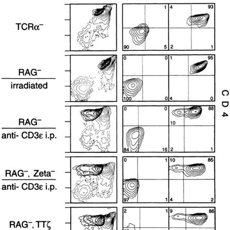 Cd5 Surface Expression On Thymocytes From Experimental Mice Thymocytes