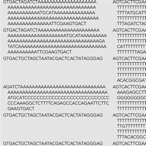 Segmented Polya Sequences And Their Corresponding Cloning Strategy Download Scientific