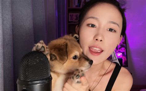 轻语分享治愈系？擦口红｜撸狗触发｜小夜灯 周小小助眠 周小小助眠 哔哩哔哩视频