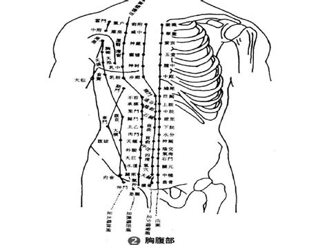 针灸人体穴位图大全 word文档在线阅读与下载 免费文档