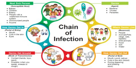 Infectious Diseases Flashcards Quizlet
