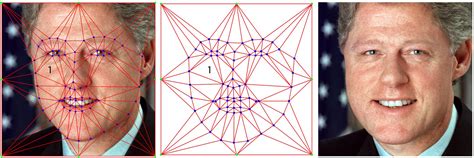 Average Face Opencv C Python Tutorial Learnopencv