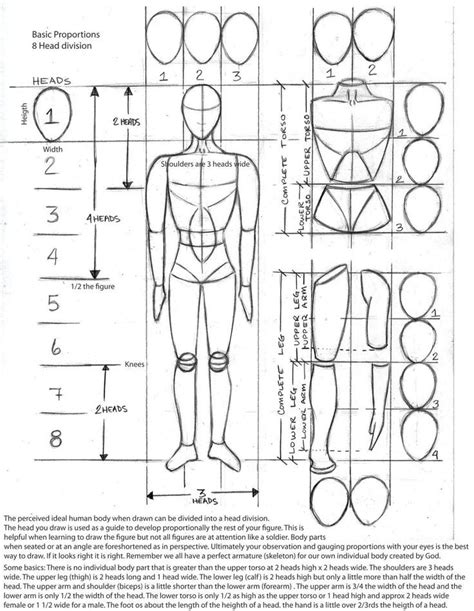 Pinterest Human Anatomy Shapes Head To Body Proportions Drawing
