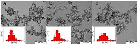 Silver Sulfamethazine Conjugated β Cyclodextrin Dextran Coated Magnetic Nanoparticles For