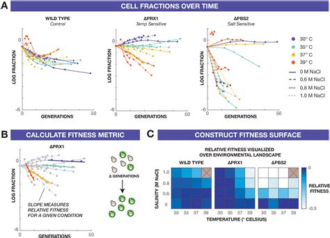 Designing Automated High Throughput Continuous Cell Growth