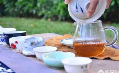 中国茶文化和茶健 中国茶文化和茶健智慧树答案普洱茶百科邮箱网 中国茶文化和茶健 中国茶文化和茶健智慧树答案普洱茶百科邮箱网