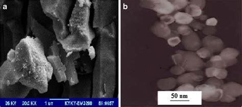 A Sem And B Tem Micrographs Of Nitio3 Nanopowders Download Scientific