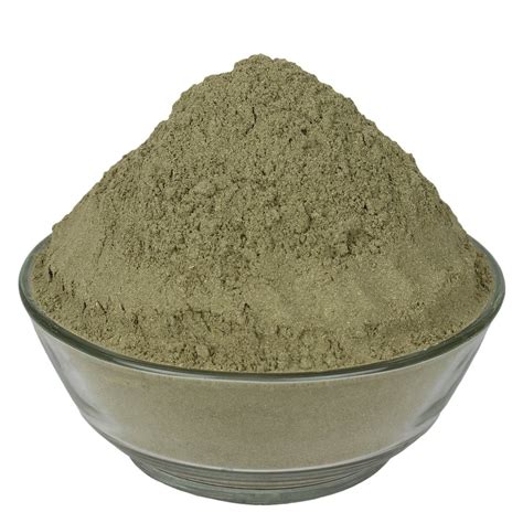 Gymnema Sylvestre Extract Powder Packaging Type Loose At Rs 1000kg