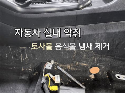 아현동 홍은동 오바이트 토사물 냄새 제거 전문 출장 실내크리닝 네이버 블로그