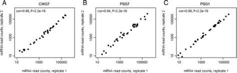 correlation analysis between independent biological replicates from