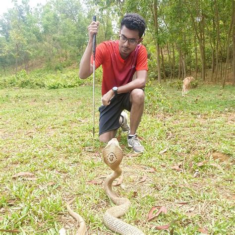 Md Raju Ahmed