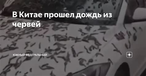 В Китае прошел дождь из червей Южный федеральный Дзен