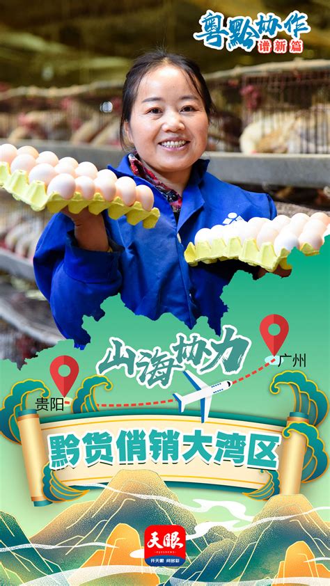粤黔协作谱新篇 山海协力，黔货俏销大湾区澎湃号·媒体澎湃新闻 The Paper