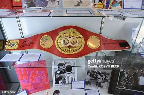 Boxing Federation Championship Belt Photos And Premium High Res