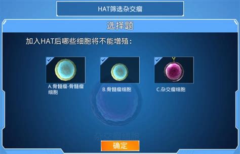 实验详情