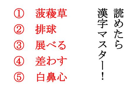 【今日の難読漢字】「菠薐草」「排球」「展べる」「差わす」「白鼻心」ってなんて読む？