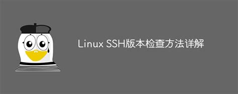 Detailed Explanation Of Linux Ssh Version Checking Method Linux