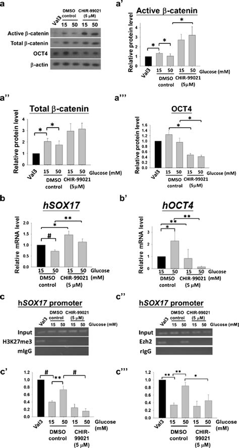 Hyperglycemia Inactivated Wntβ Catenin Signaling In Early De