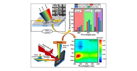 Tuning Ultrafast Carrier Dynamics And Broadband Photo Response Of High