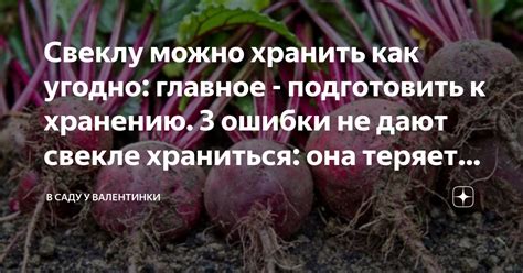 Свеклу можно хранить как угодно главное подготовить к хранению 3
