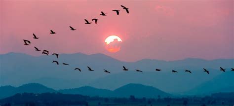 SureLog SIEM Sample Use Cases Rules Models Surelog Advanced Threat Detection