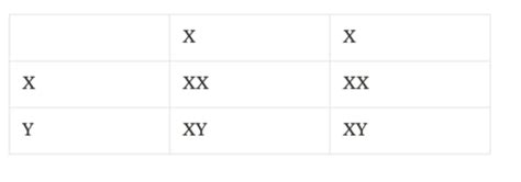 Biology Inheritance Flashcards Quizlet