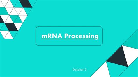 Mrna Processing Pptx Mrna Processing Pptx